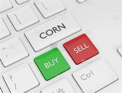 3d渲染键盘与玉米键