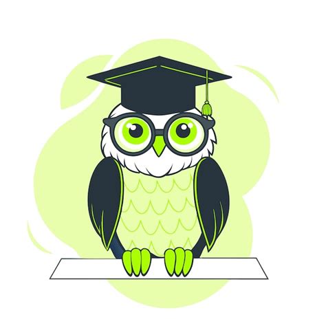 Ilustración Del Pájaro Búho Vector Premium
