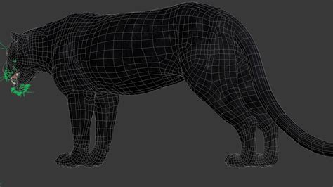 3dsmax Cat Feline
