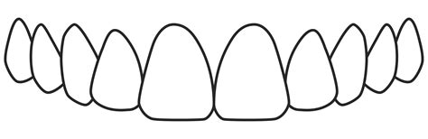 Braces In Dubai Braces Cost And Price Dental Clinic Braces In Dubai Braces Cost And Price Dental Clinic