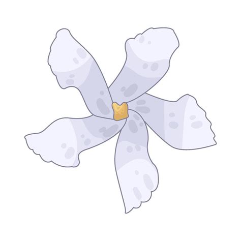 Illustration Of Sampaguita Flower 51575709 Vector Art At Vecteezy