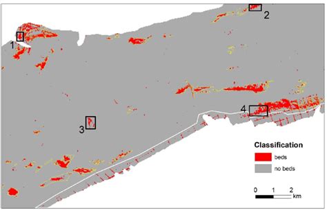 Unsupervised Classification Of Fig For The Extent Of Subset A The