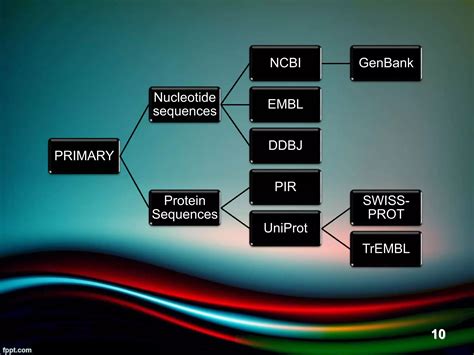 Primary And Secondary Database Ppt