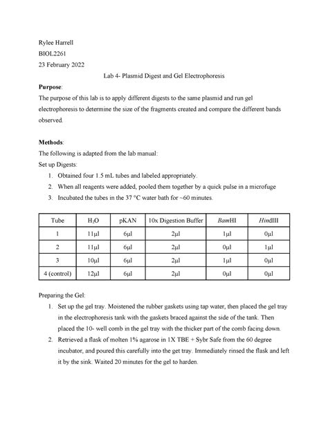 Lab 4 Plasmid Digest And Gel Electrophoresis Rylee Harrell Biol 23