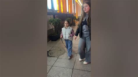 თოი პუდელი🥰პირველი გასეირნება🫣 Toy Poodle First Walk After