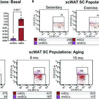 Fluorescence Activated Cell Sorting FACS And Quantification Of SCs In Download Scientific