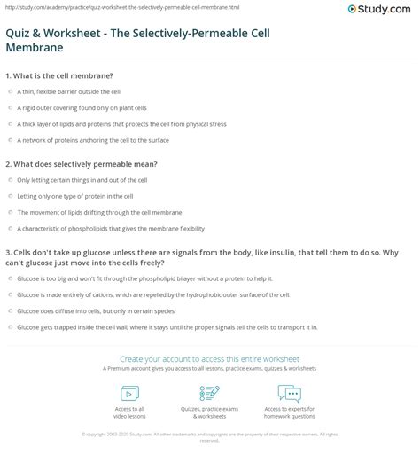 Quiz And Worksheet The Selectively Permeable Cell Membrane