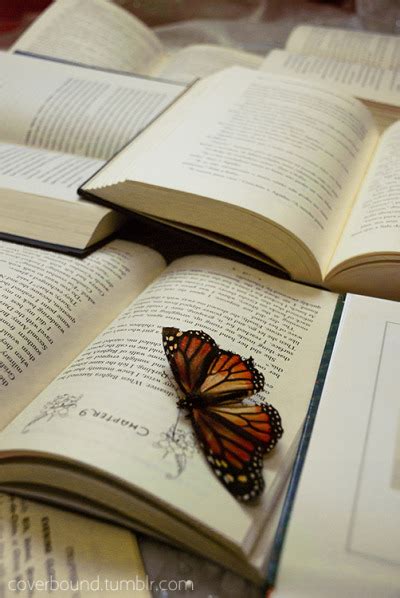 📖🌟📖🌟📖🌟📖 Tumbex