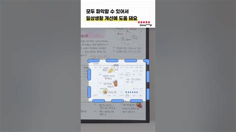 제대로 종합장이 왜 인기가 급상승한 이유는 무엇일까🧐 Youtube