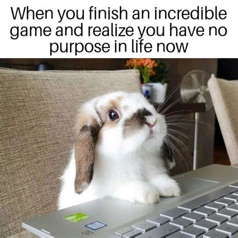 Ugochukwu Onyebuchi On Linkedin 😅 Exactly