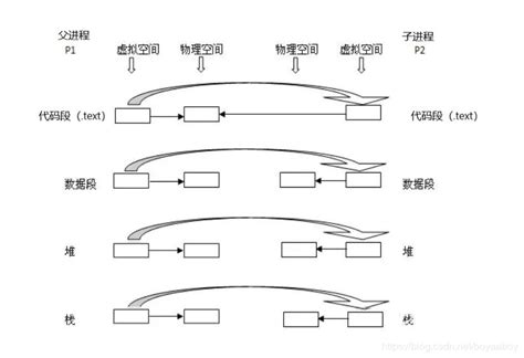 linux多进 线程编程 fork函数和进程间共享数据 胖白白 博客园