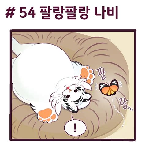 Its 나비와 냥냥권 2 출렁거리는 백희의 살🤭🤭 인스타툰 만화스타그램 컷툰 판타지 뚱뚱한 백호 큰고양이 나비 백희 캐릭터 만화 수요일