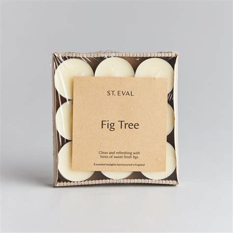 St Eval Scented Tealights Fig Tree Indulgent Therapies