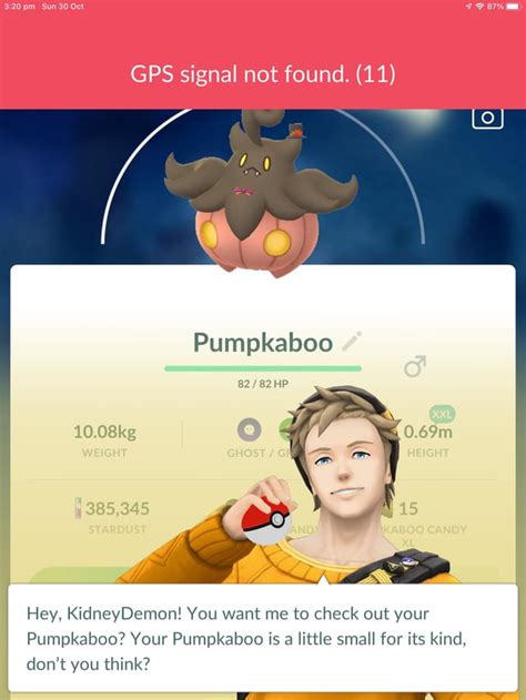 Xxl Pumpkaboos Being Called Tiny R Thesilphroad