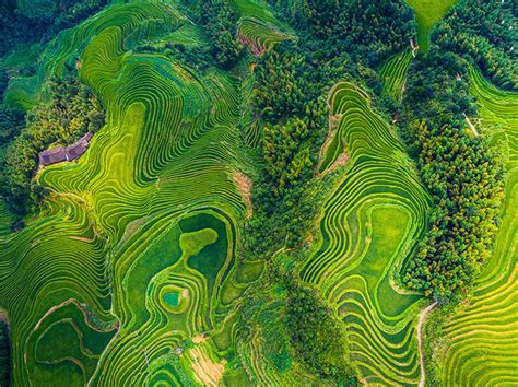 天下龙脊 风情龙胜全国摄影大展入展作品中国摄影报