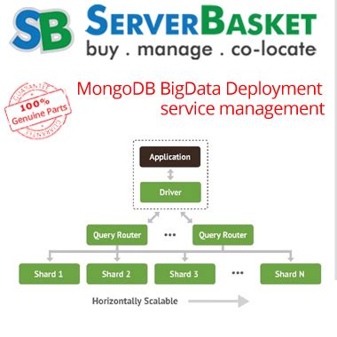 Mongodb Bigdata Deployment Service Management At Low Price In India