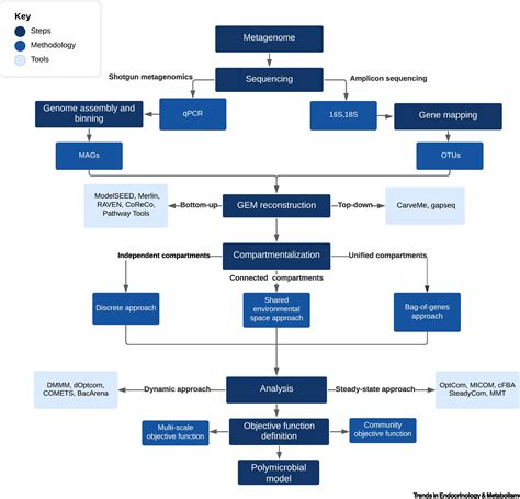 Emerging Methods For Genome Scale Metabolic Modeling Of Microbial Communities Trends In