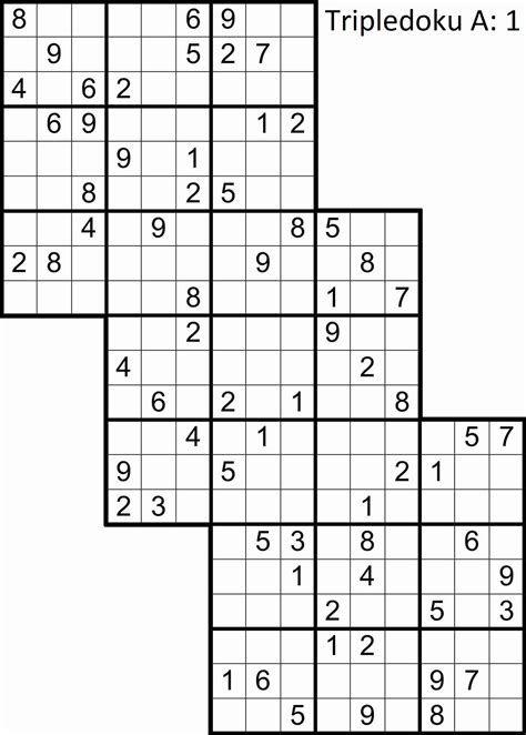 302 Large Print Sudoku Puzzles 14 Variations Pdf