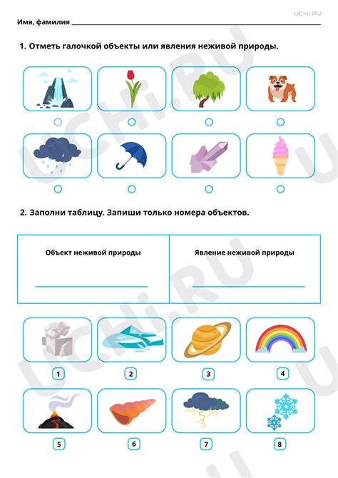Рабочие листы по теме «Явления и объекты неживой природы Базовый уровень Явления и объекты