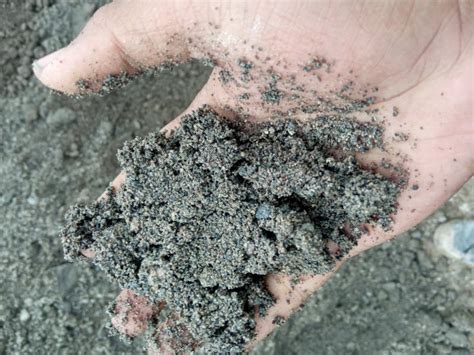 Sand Which Contains A Lot Of Water Is Suitable For Farming And