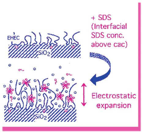 Effect Of An Anionic Surfactant On The Structure Of An Adsorbed Layer