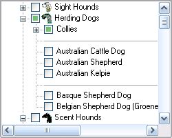 XHtmlTree Tree Control With Support For HTML XML Smart Checkboxes