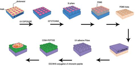 Schematic For Micropillar Fabrication To Fabricate Polymeric Download Scientific Diagram