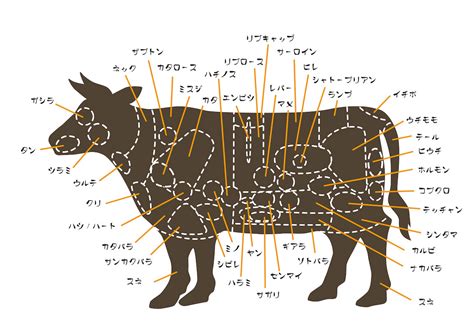 希少部位ハラミについて Japan Eats Blog