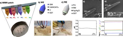 In Vivo Transdermal Multi Ion Monitoring With A Potentiometric Microneedle Based Sensor Patch