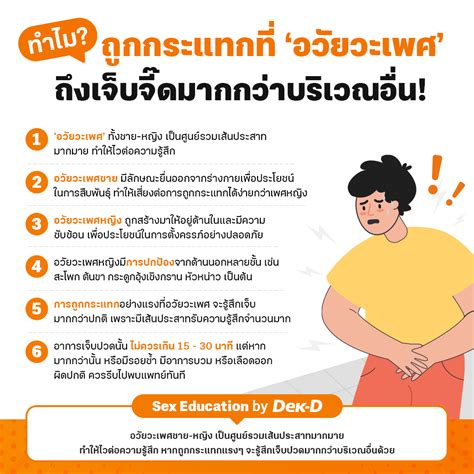 Dekdsexeducation Dek D Com เด็กดีดอทคอม