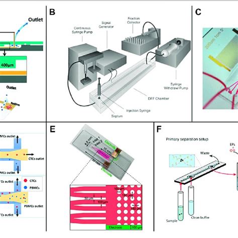 Ctcs Enrichment By Combining Biological Affinity With Physical