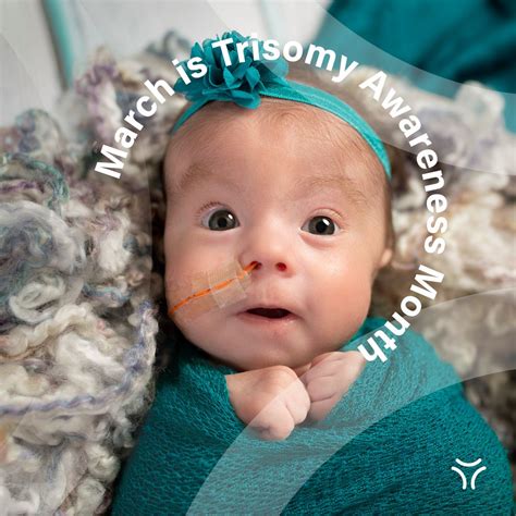 Aaplog Aaplogprolifeobgyns Hippocraticmedicine Integrityinmedicine