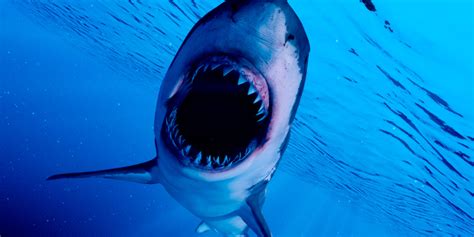 Does Fish Bite After It Rains Updated On 2025