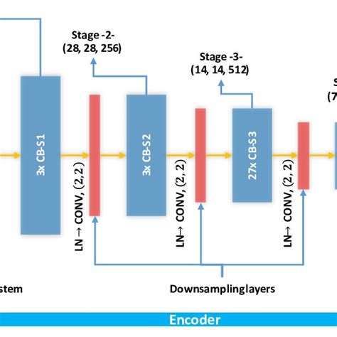 Convnext Base Encoder Which Has A Compute Stage Ratio Of 3 3 27 3 Download Scientific