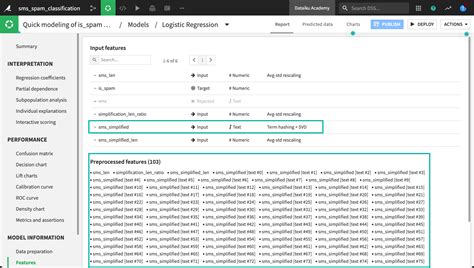 concept handling text features for machine learning dataiku