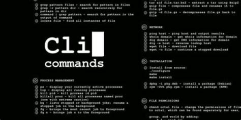 Mastering Linux 20 Essential Commands Every Developer Should Know