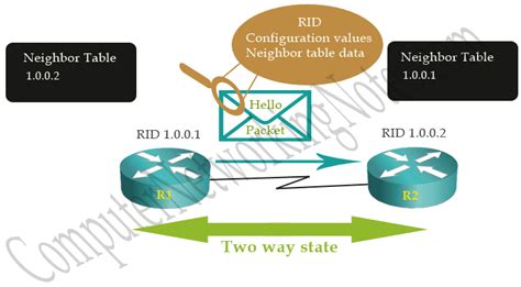 How Ospf Routers Build Adjacency Explained