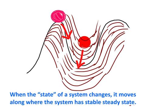 Ppt Multiplicity Of Steady States In Continuous Culture Of Mammalian