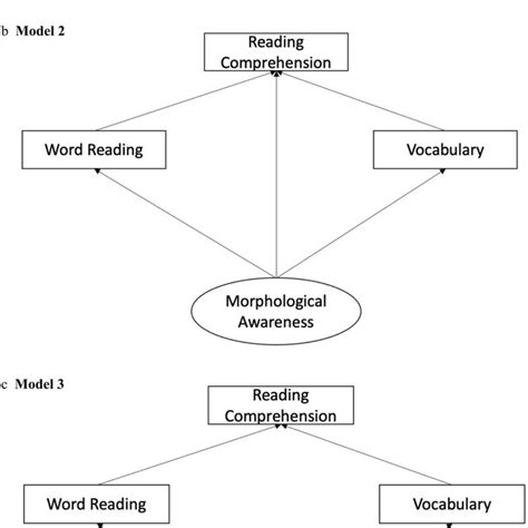 Alternative Models For The Relations Among Morphological Awareness Download Scientific Diagram