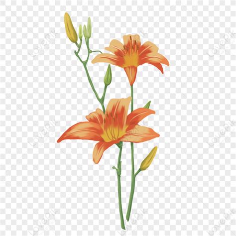 手繪百合花朵PSD圖案素材免費下載可愛卡通圖片尺寸2000 2000px Lovepik