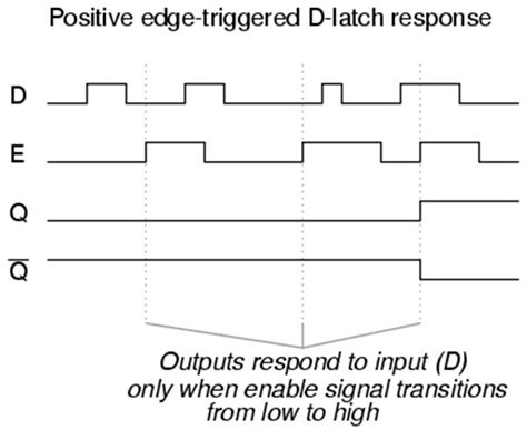 D Latch And D Flip Flop Timing Diagram