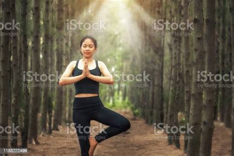 아름 다운 여자 연습 요가 포즈가 문 비 나무 숲 자연가을 서 뒷 전망 건강 한 라이프 스타일 여름 휴식 개념에 대한 스톡 사진 및 기타 이미지 Istock