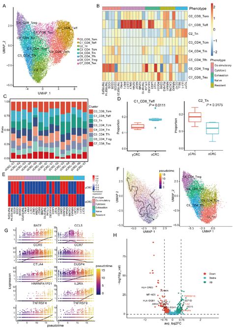 Features And Heterogeneity Of T Cell Subtypes In Ycrc And Ocrc A