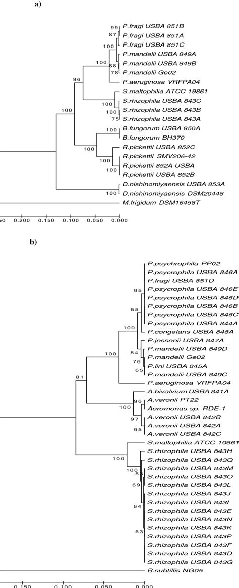 Figure 1 From Isolation Of Lipolytic Bacteria From Colombian Andean