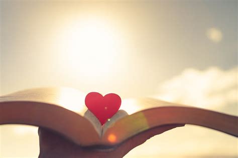 Open Book And Red Heart In Center