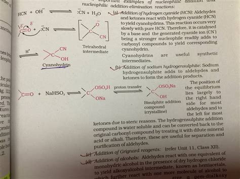 Nucleophilic Addition Elimination Reactions Hcn Oh−⇌cn H2 O A Addition
