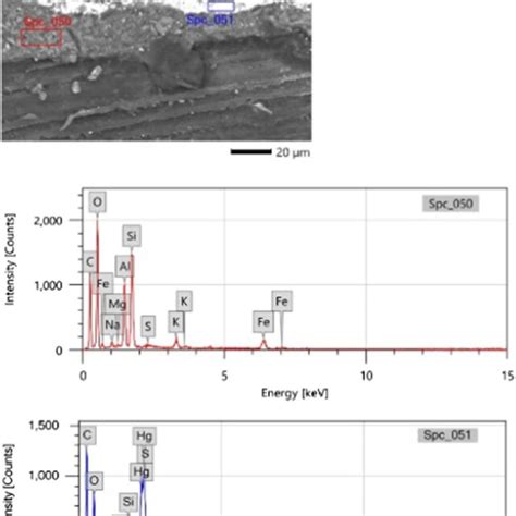 Sem Eds Analyses Of Sample No 1 Sem Picture And Spectrum In Both Download Scientific Diagram