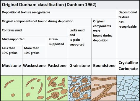 Stratagraph Dunham Classification For Limestone Part 1 Safetywise