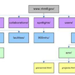 A Typical Sitemap Structure Download Scientific Diagram