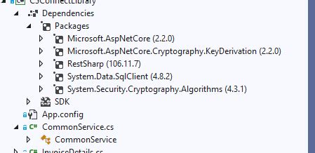 Asp Net Core Why Do This Occurs Could Not Load File Or Assembly In C Class Library
